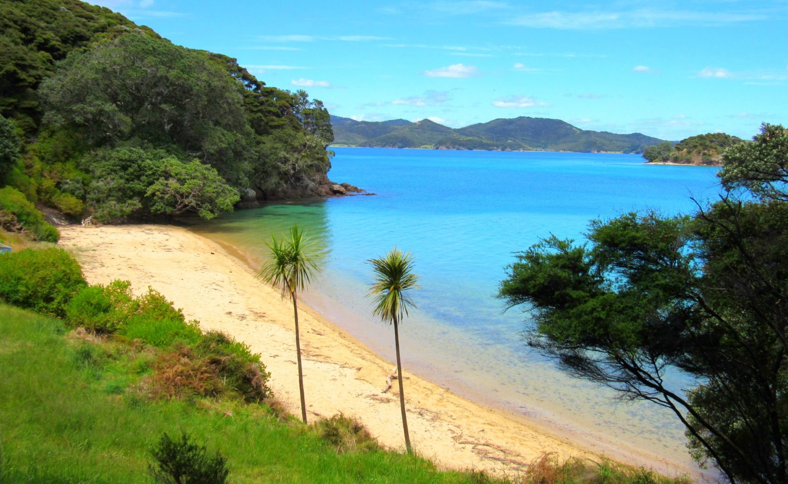 Urupukapuka Island: Paradise in the Bay of Islands ⋆ EverlastingWandering