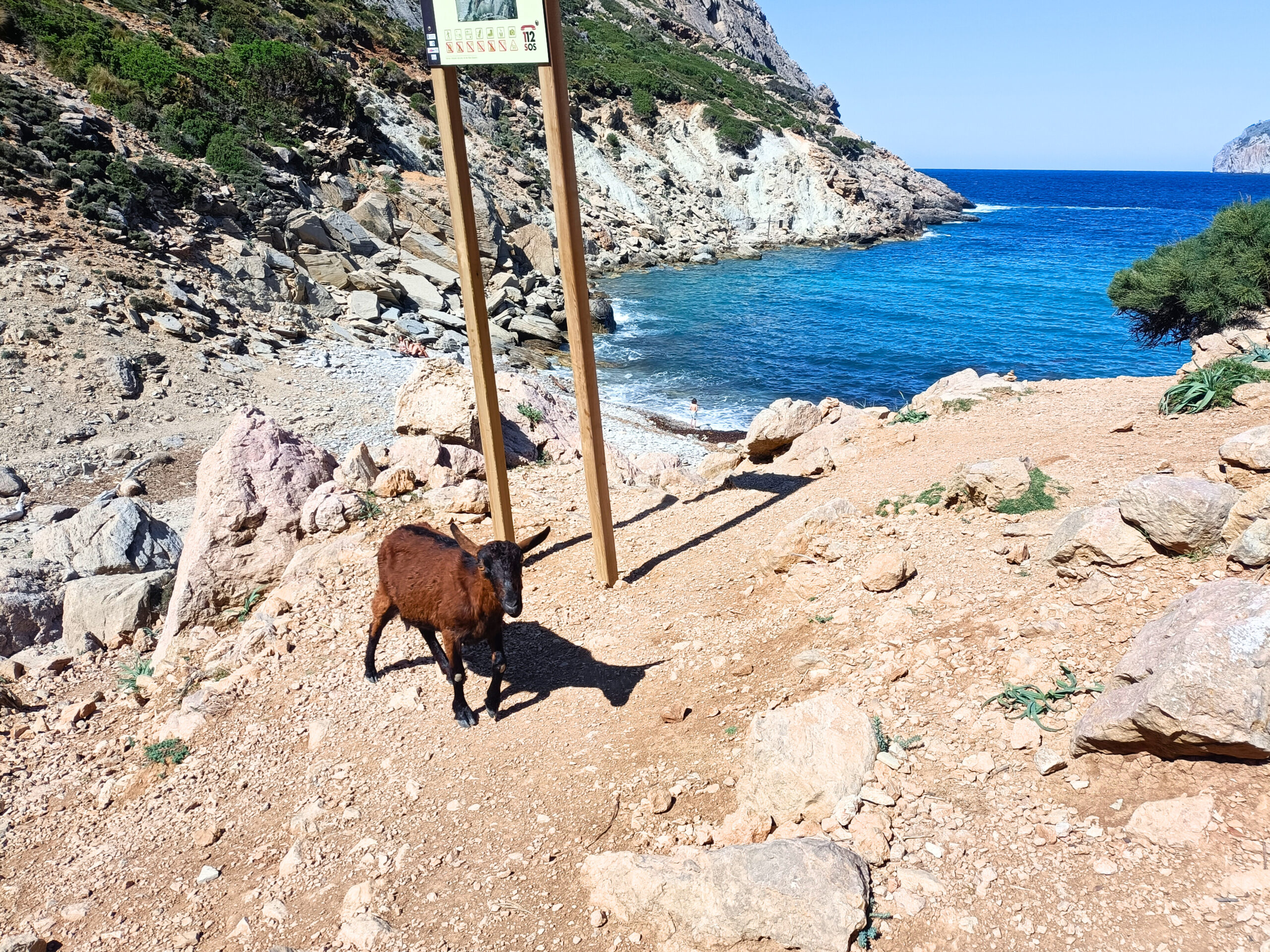 Camí de Cala Bóquer: Mallorca Must Do Hike From Port de Pollença ⋆ ...