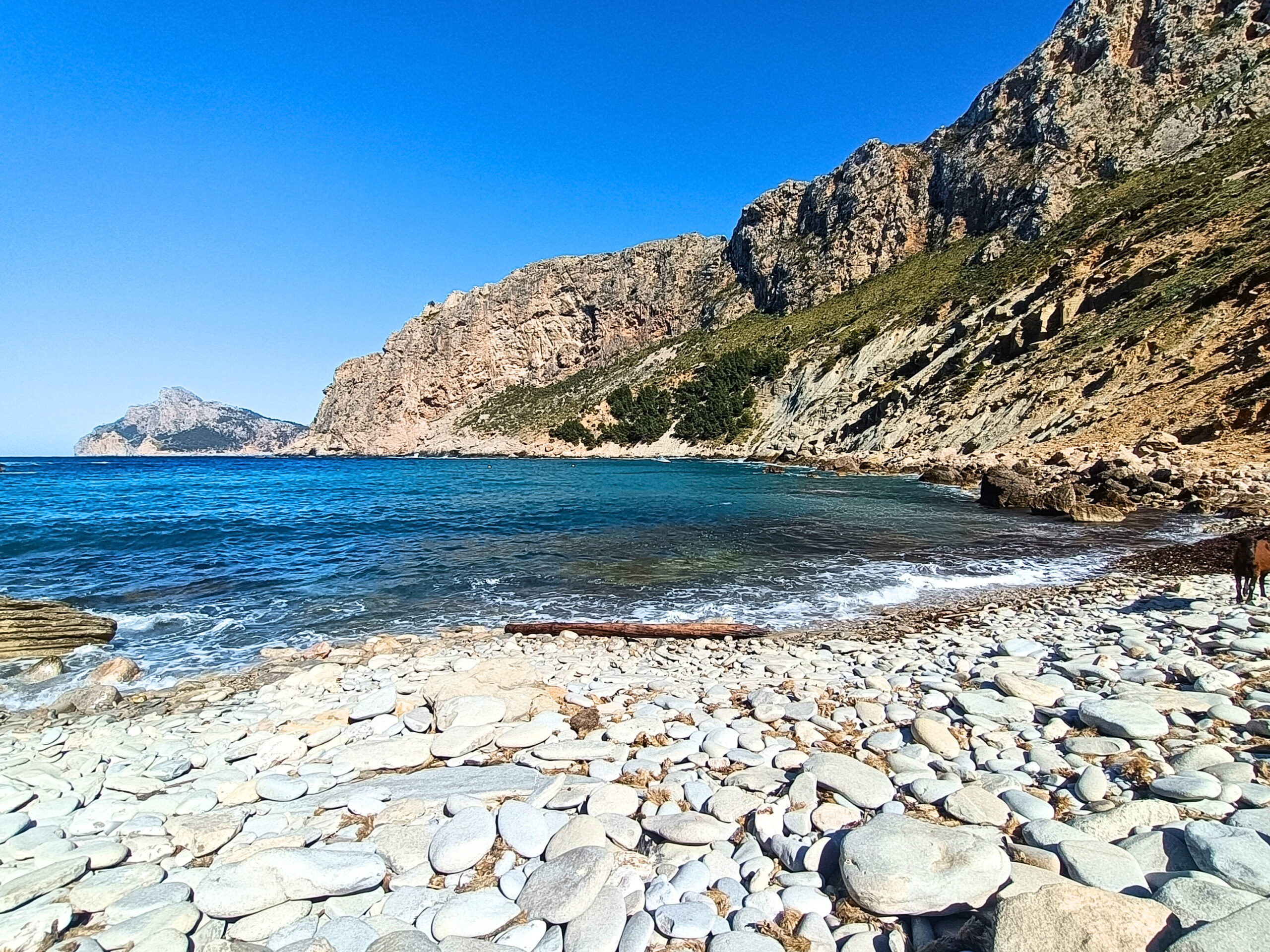 Camí de Cala Bóquer: Mallorca Must Do Hike From Port de Pollença ⋆ ...