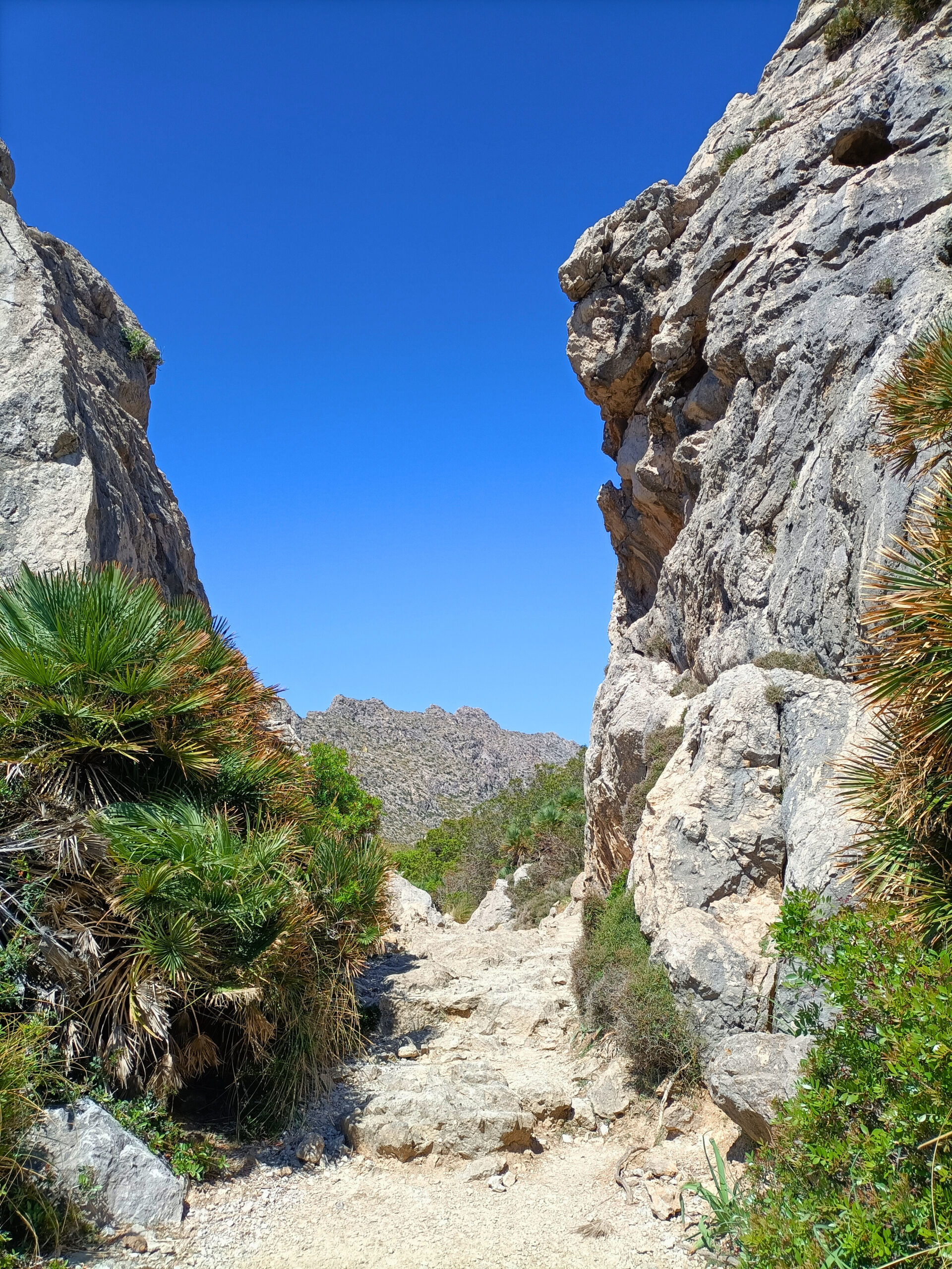 Camí de Cala Bóquer: Mallorca Must Do Hike From Port de Pollença ⋆ ...