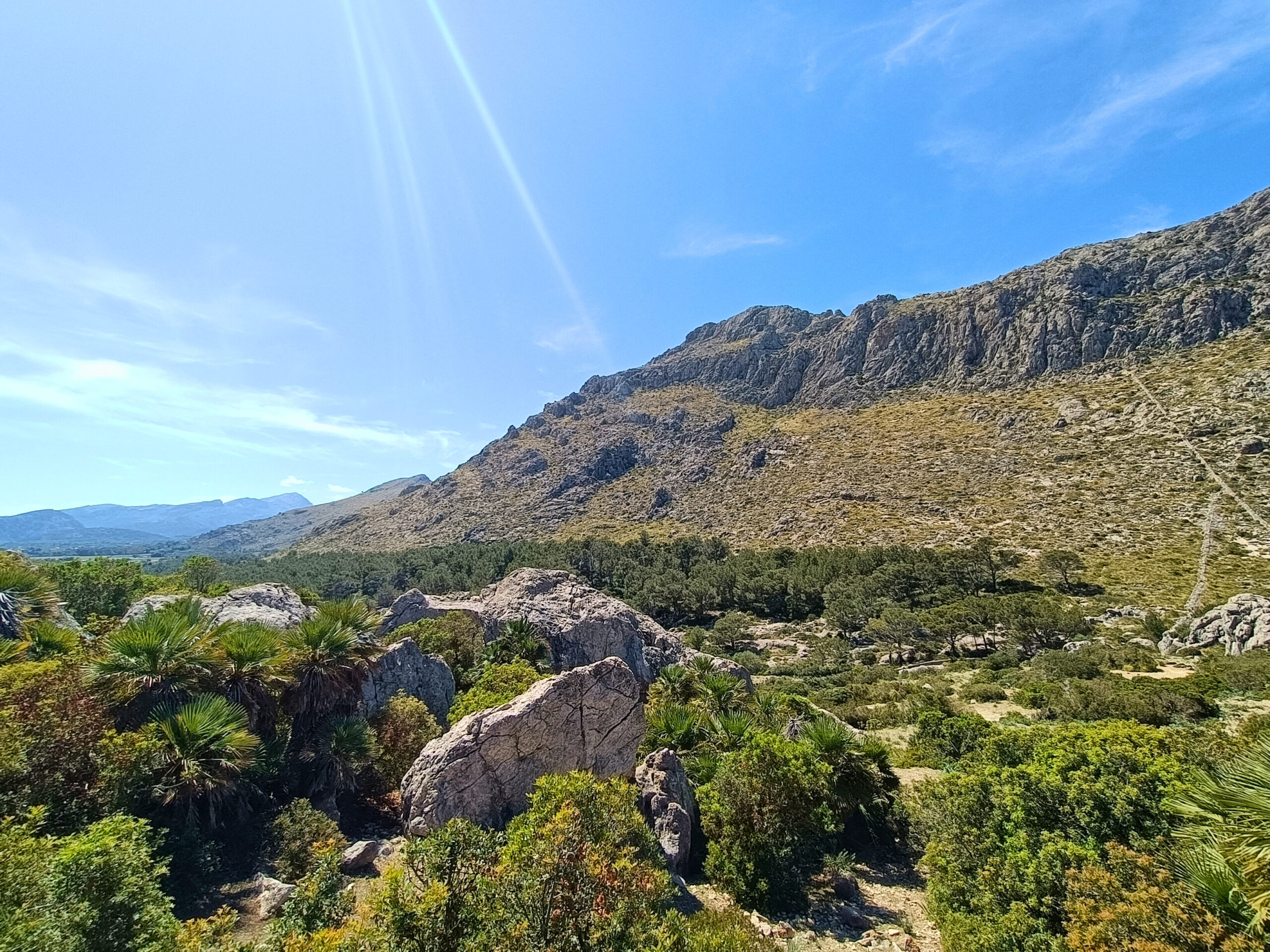 Camí de Cala Bóquer: Mallorca Must Do Hike From Port de Pollença ⋆ ...