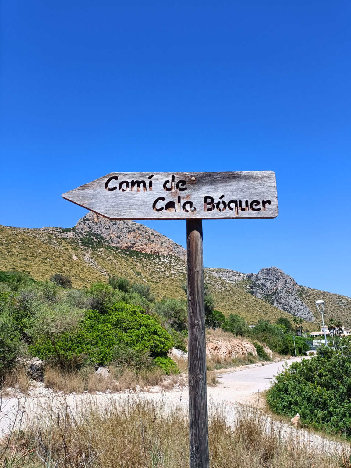 Camí de Cala Bóquer: Mallorca Must Do Hike From Port de Pollença ⋆ ...