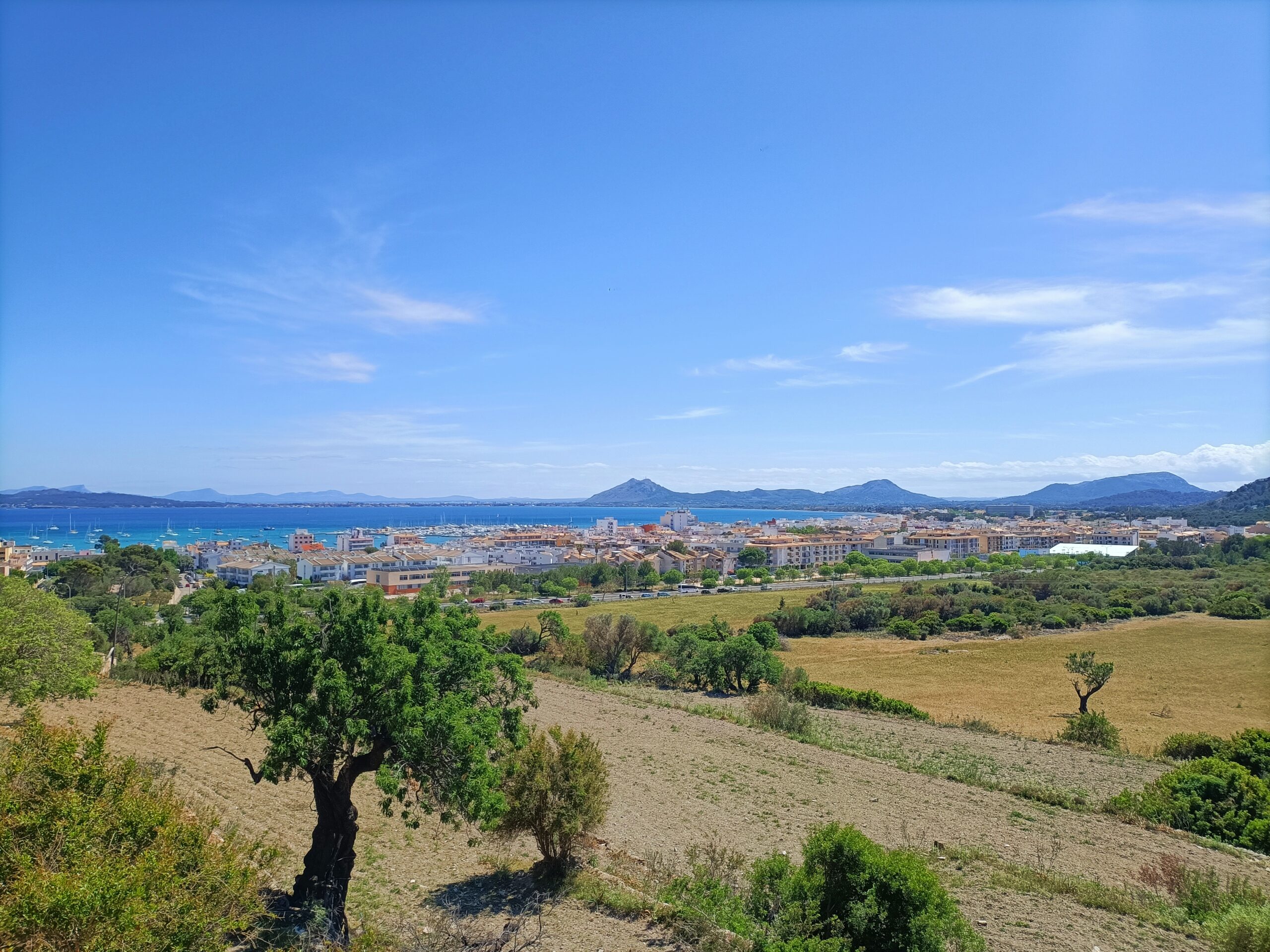 Camí de Cala Bóquer: Mallorca Must Do Hike From Port de Pollença ⋆ ...
