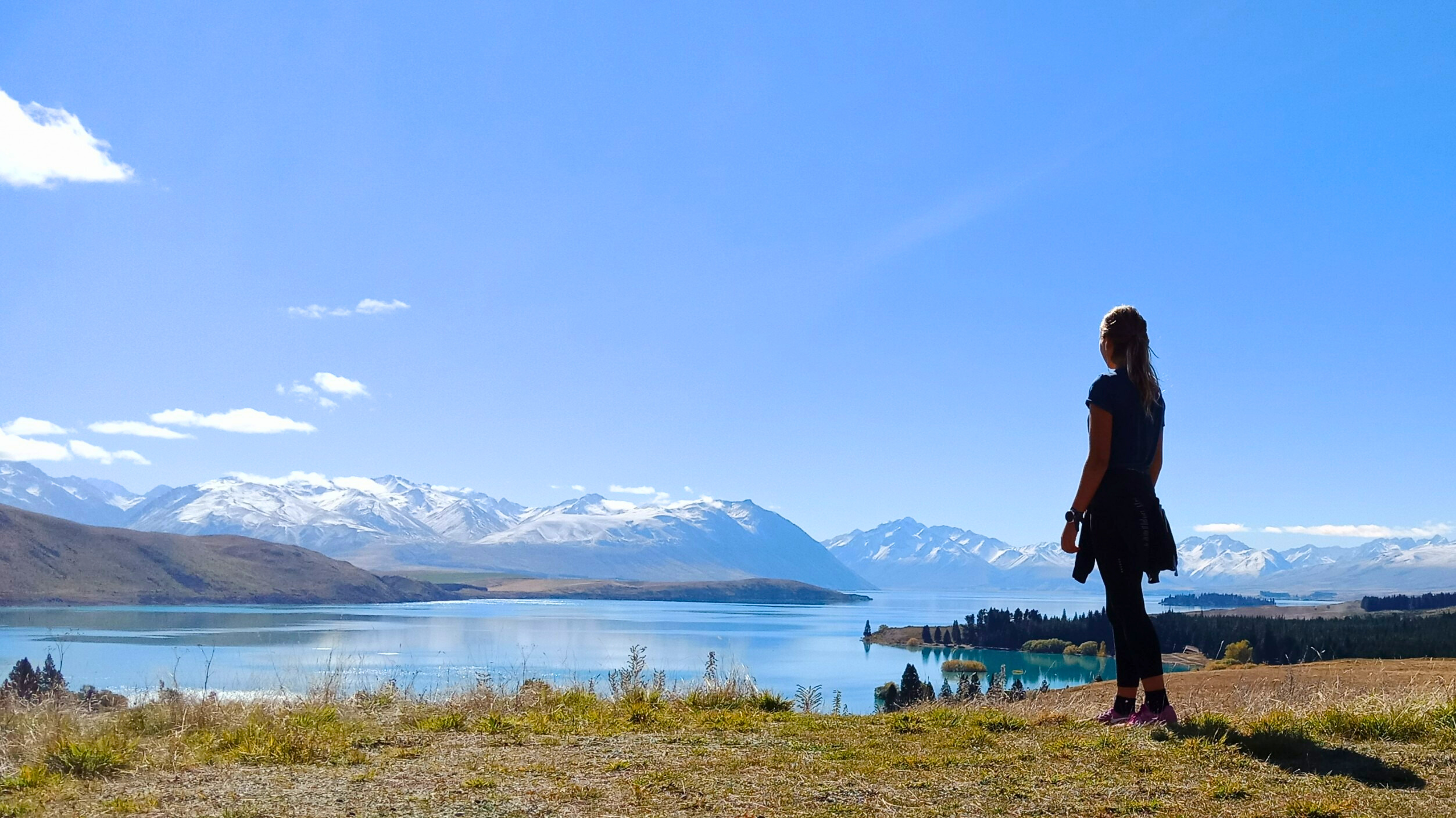 Lake Tekapo: What to Do in NZ's Prettiest Little Lake Town ⋆ ...