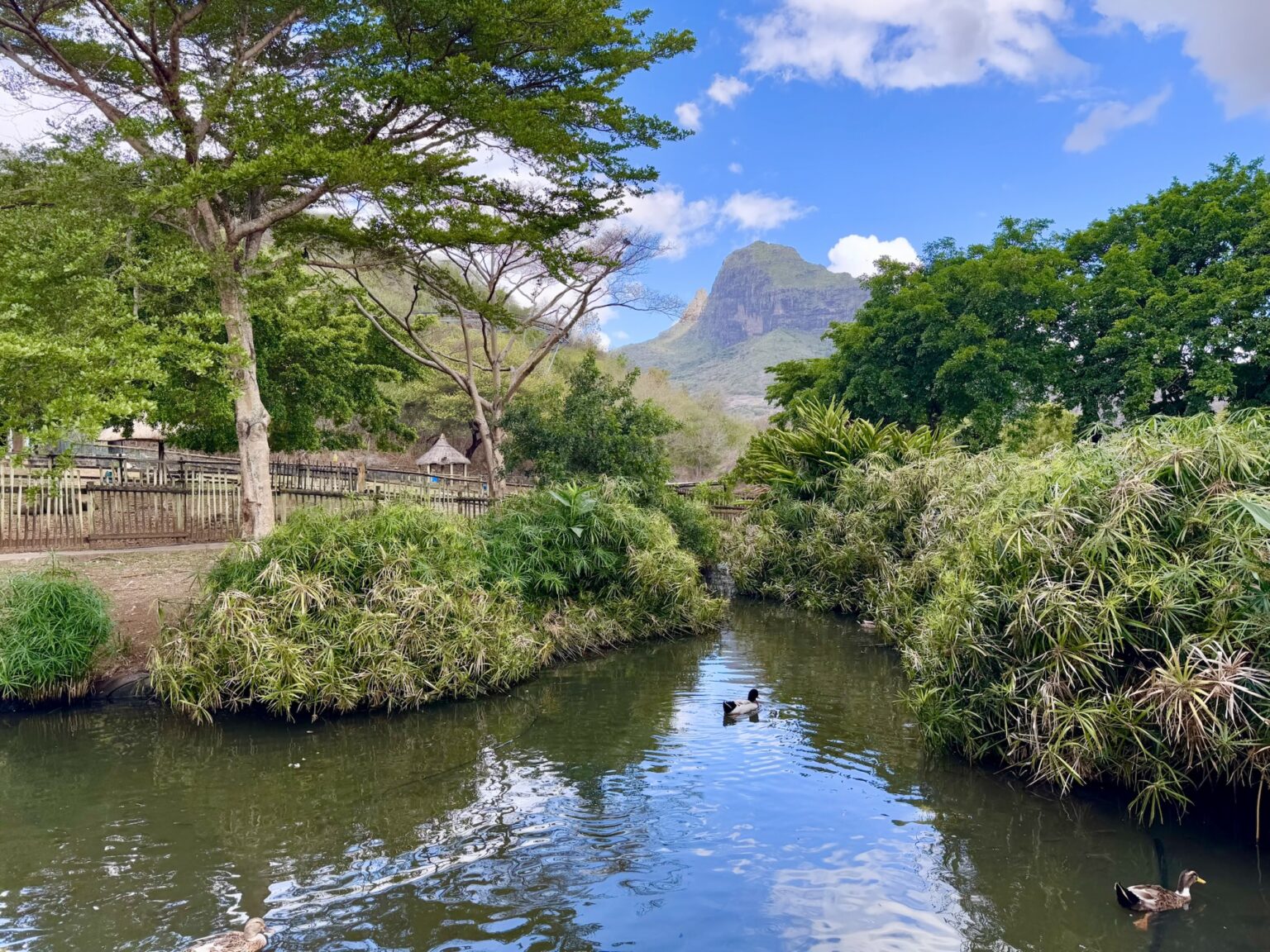 Casela Nature Park, Mauritius - Must Do Day Trip from Flic en Flac ⋆ ...
